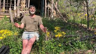 Five of my favorite moments at Earthaven Ecovillage with Steve Torma ...