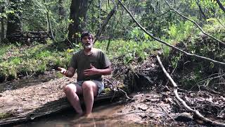 Compassion Camp 2021 using NVC with Steve Torma at Earthaven Ecovillage ...